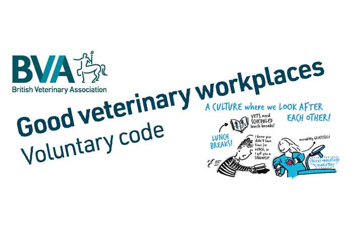 New BVA initiative to make vet practices a better place to work ...