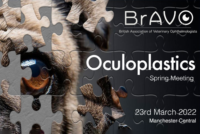 Vet nurses invited to focus on oculoplastics at BrAVO Spring Meeting ...