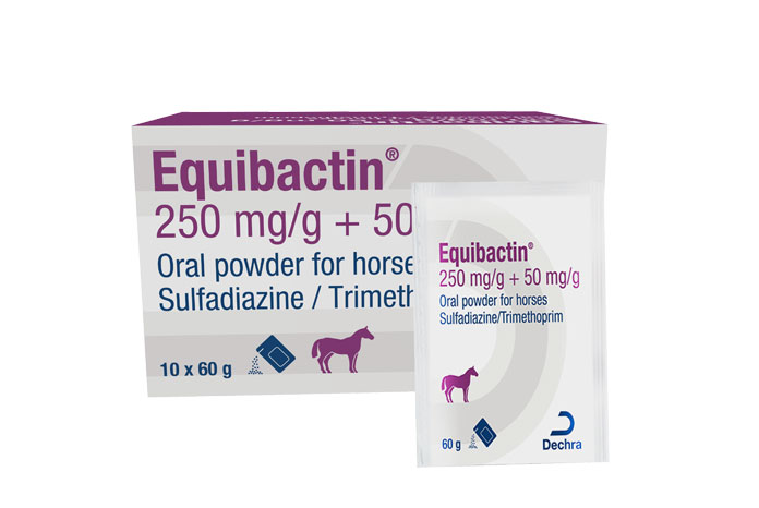 New equine antibiotic powder designed to reduce under-dosing - VetNurse ...