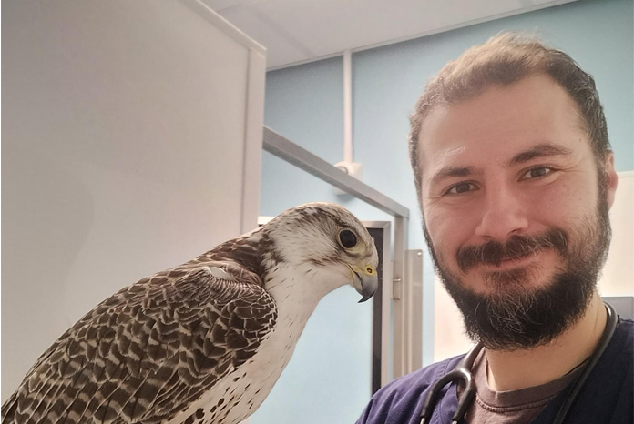 Chance for vet nurses to ask questions about avian pain management ...