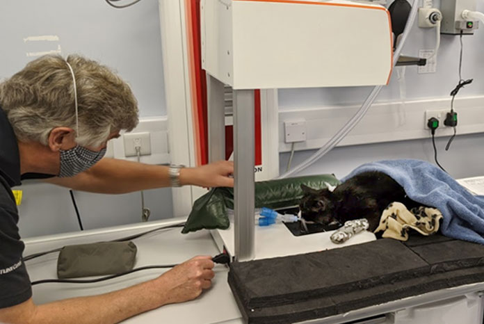 Adaptix launches revolutionary 3D Veterinary Imaging System - VetNurse ...