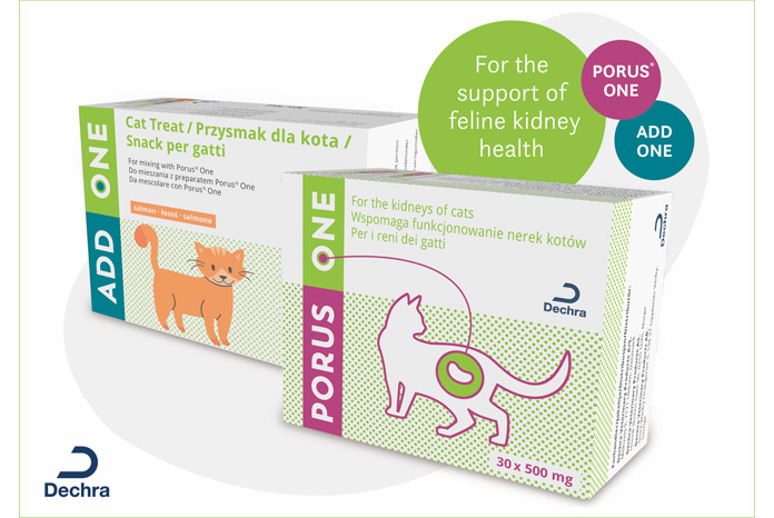 Dechra becomes distributor for feline kidney health products, Porus One ...