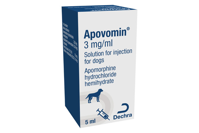 Dechra launches injectable emetic for dogs - VetNurse News - Vet Nurse ...