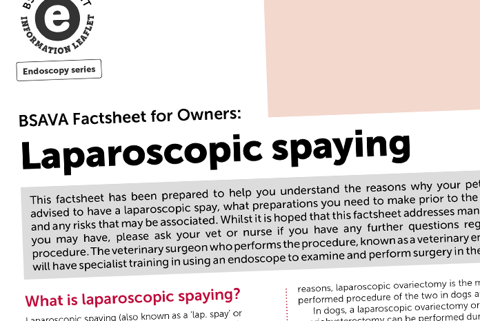 New BSAVA laparoscopic spaying fact sheet to give clients - VetNurse ...
