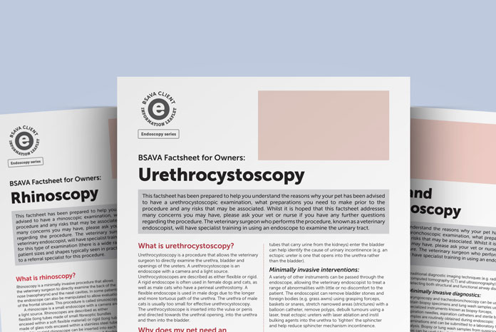 Endoscopy client information leaflets now available from the BSAVA ...