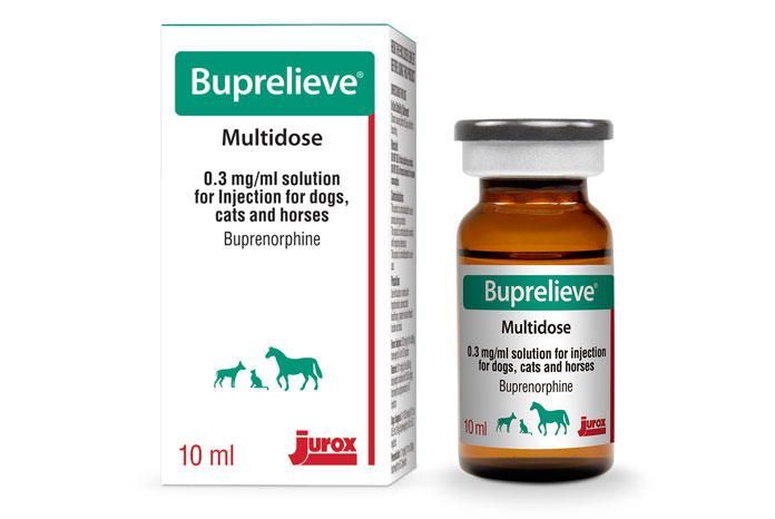 New buprenorphine formulation for reduced injection site pain ...