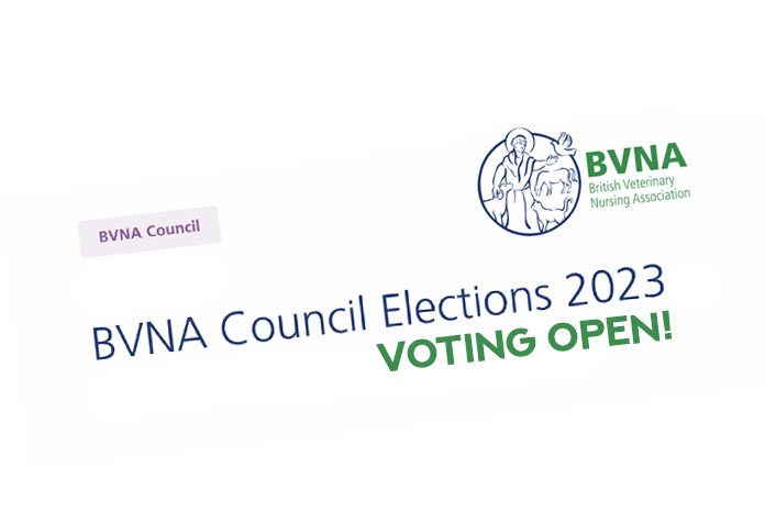 Voting opens in BVNA elections - VetNurse News - Vet Nurse - Vet Nurse