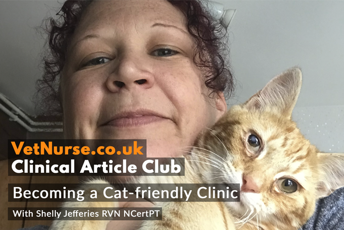 Vet nurses invited to talk about ‘Becoming a Cat-friendly Clinic ...