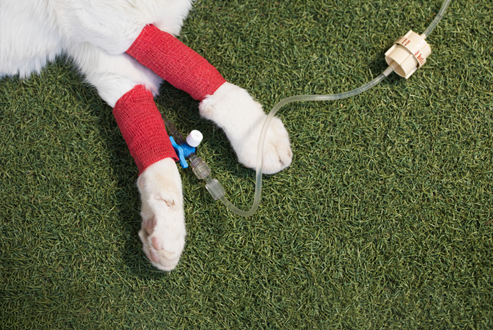 New study looks at efficacy of vapocoolant spray for catheter pain ...
