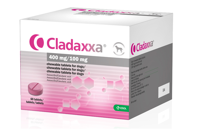 New first line antibiotic for cats and dogs - VetNurse News - Vet Nurse ...