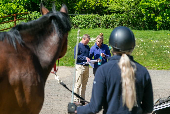 University of Liverpool and CVS to study veterinary workplace injuries ...
