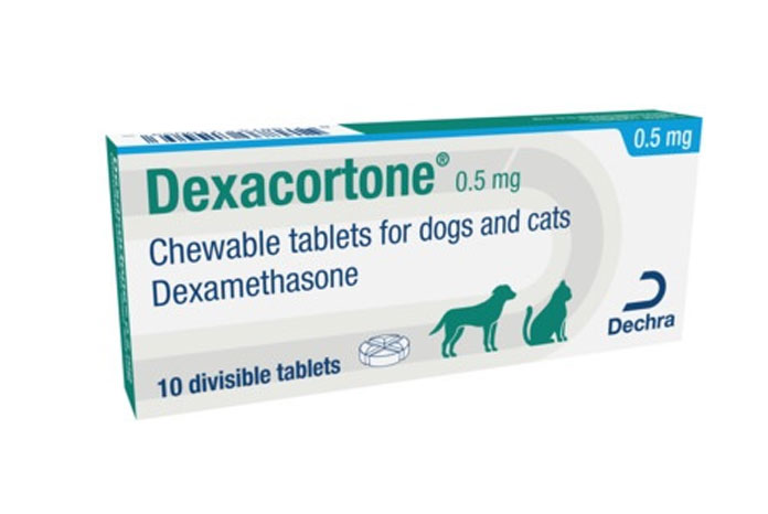 New dexamethasone presentation for cats and dogs - VetNurse News - Vet ...