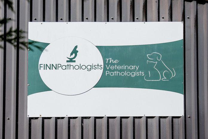 Finn Pathologists uses AI to improve prognostic scoring for canine mast ...