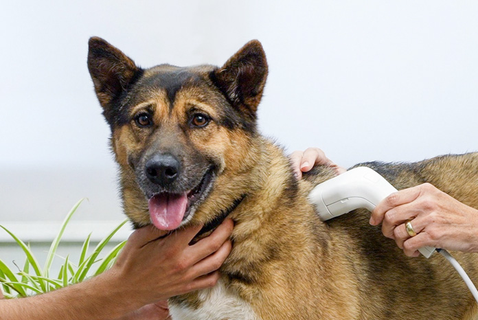 HT Vista launches app for its cancer screening device - VetNurse News ...