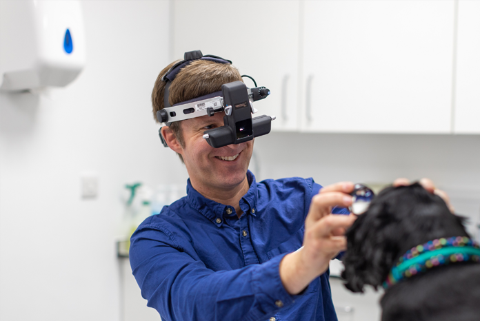 Southern Counties Veterinary Specialists completes expansion and ...