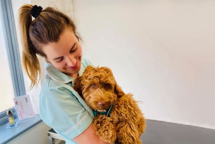 Once in a lifetime opportunity for vet nursing assistants! - VetNurse ...