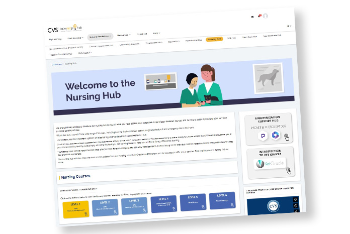 CVS launches Nursing Hub - VetNurse News - Vet Nurse - Vet Nurse