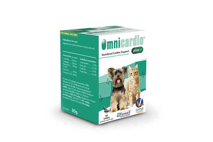 Vita launches upgraded cardiac health supplement for cats and dogs ...