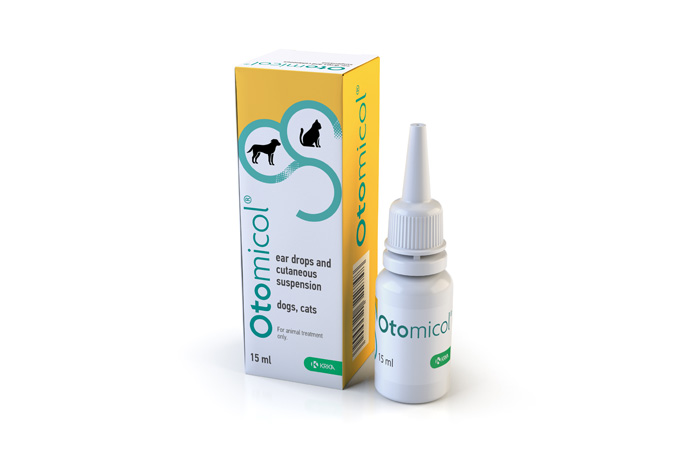 New ear drops for otitis externa - VetNurse News - Vet Nurse - Vet Nurse