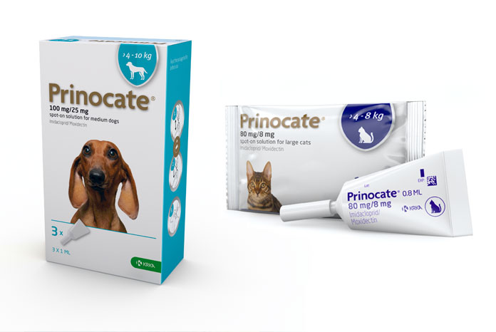New POM spot-on ectoparasiticide for cats and dogs - VetNurse News ...