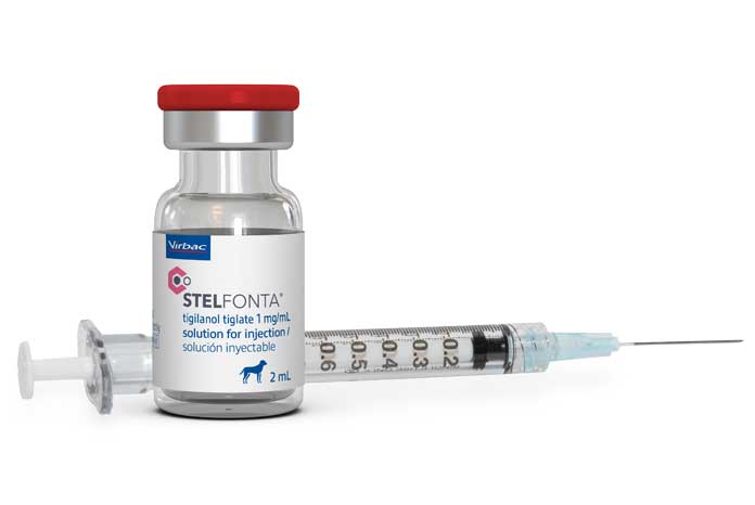 New treatment for canine mast cell tumours - VetNurse News - Vet Nurse ...