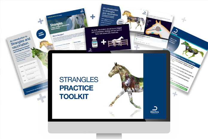 New strangles toolkit for veterinary practices - VetNurse News - Vet ...