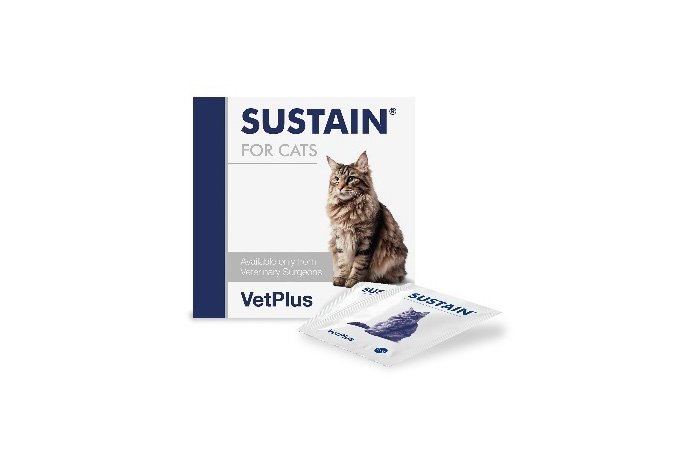 VetPlus launches two supplements for cats - VetNurse News - Vet Nurse ...