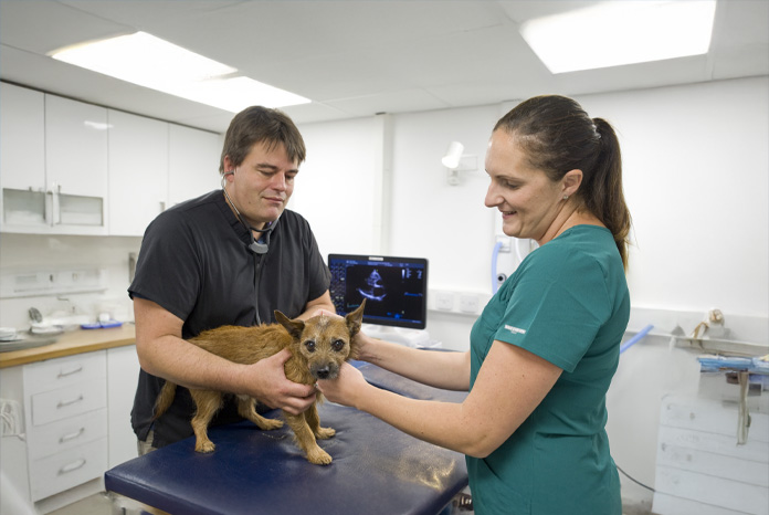 Southern Counties announces 2025 programme of free CPD for vet nurses ...