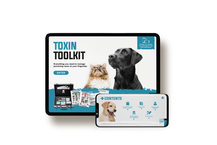 New Digital Toxin Toolkit for vet nurses - VetNurse News - Vet Nurse ...