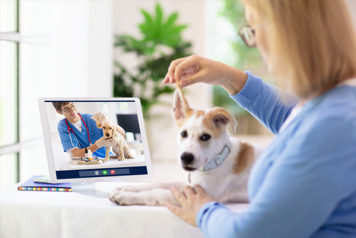 FirstVet partners with Petwise to offer unlimited veterinary ...