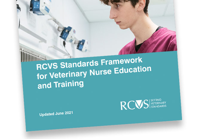 RCVS updates standards for vet nurse training organisations - VetNurse ...