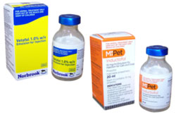 Propofol Emulsion for Injection 1.0% product recall - VetNurse News ...
