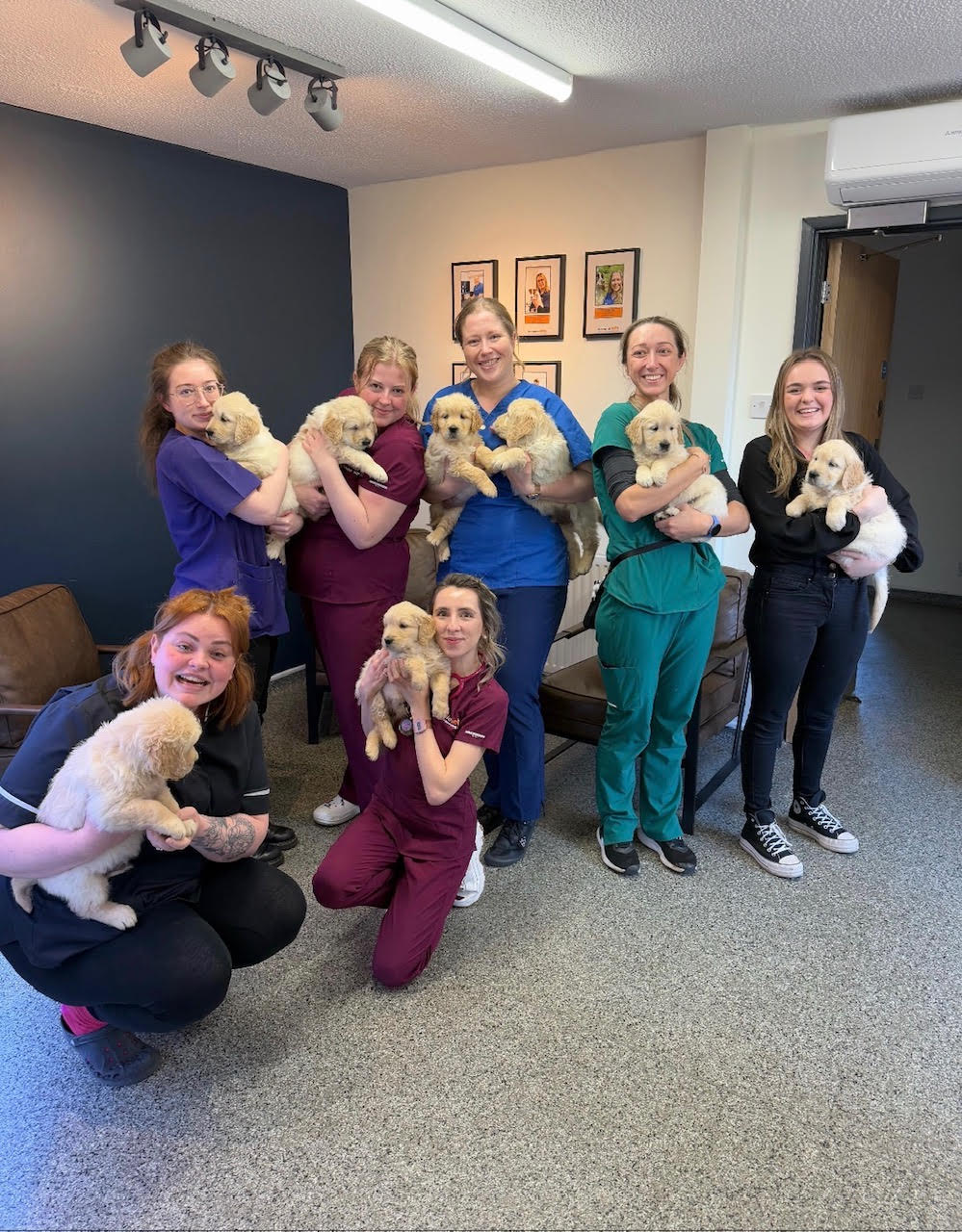 Job: Head Veterinary Nurse. Arvonia Vets, Cheltenham - Jobs - Vet Nurse ...