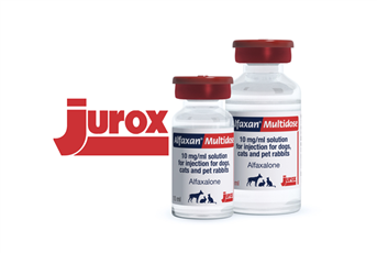 Veterinary Nursing News - VetNurse News - Vet Nurse - Vet Nurse