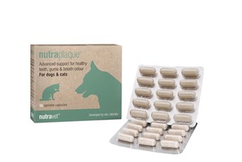 Veterinary Nursing News - VetNurse News - Vet Nurse - Vet Nurse