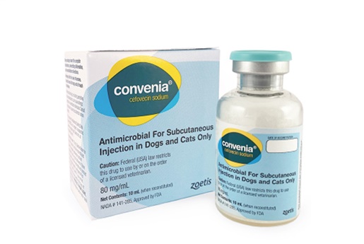 Veterinary Nursing News - VetNurse News - Vet Nurse - Vet Nurse