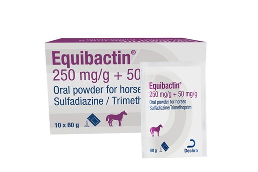 Veterinary Nursing News - VetNurse News - Vet Nurse - Vet Nurse