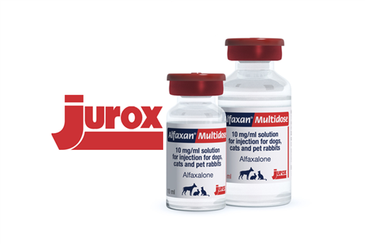 Veterinary Nursing News - VetNurse News - Vet Nurse - Vet Nurse