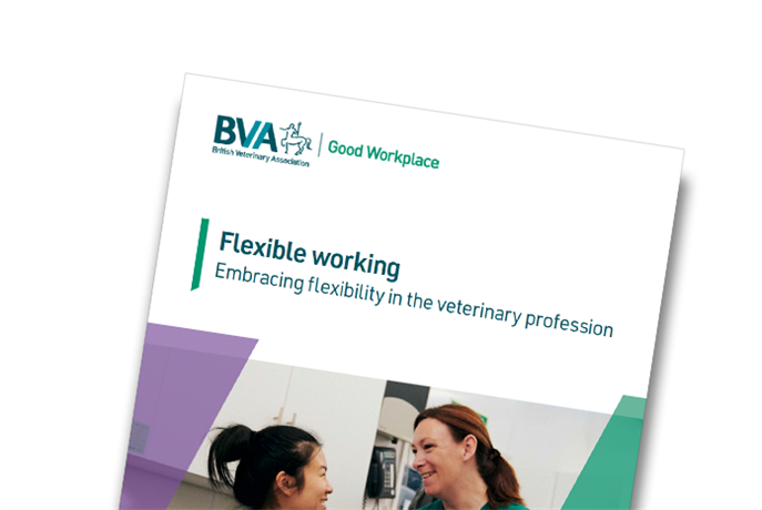 Veterinary Nursing News - VetNurse News - Vet Nurse - Vet Nurse