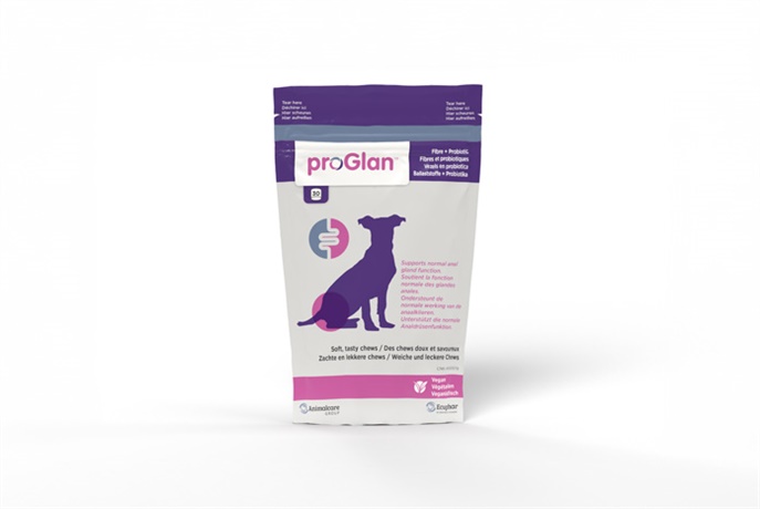 Veterinary Nursing News - VetNurse News - Vet Nurse - Vet Nurse